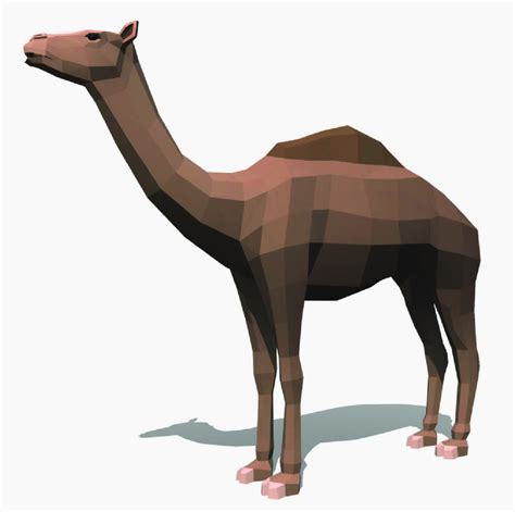 Low Poly Reconstruction Of The Extinct Western Camel Camelops