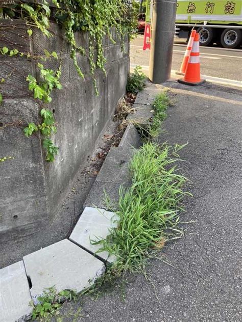 FixMyStreet Japanまちもん 知多郡東浦町 側溝道路破損