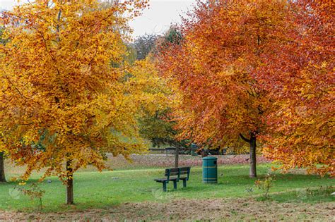 伯明翰海港，格罗夫公园的秋色