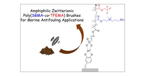 Formation Of Amphiphilic Zwitterionic Thin Polysbma Co Tfema Brushes