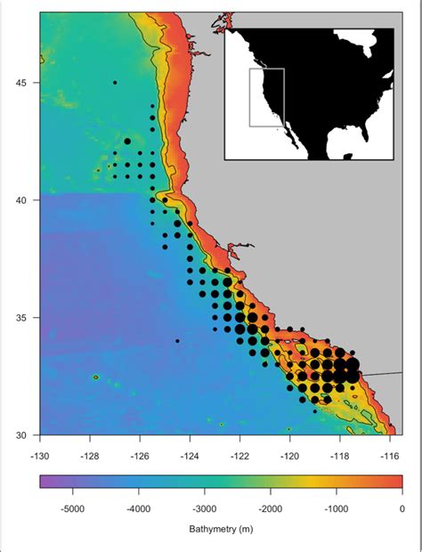 Figure 1 From Integrating Dynamic Subsurface Habitat Metrics Into Species Distribution Models