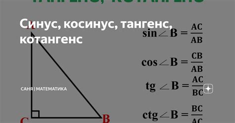 Синус косинус тангенс котангенс Репетитор по математике Саня Дзен