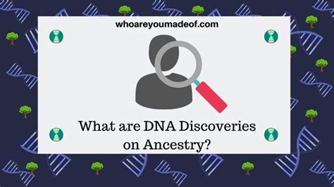 What Are DNA Discoveries On Ancestry Who Are You Made Of