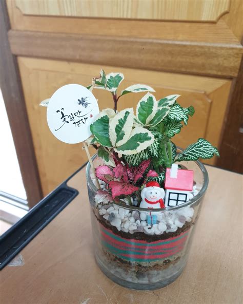 메리케이 세일즈디렉터 서종님 🎄 크리스마스 🎁 같은 시간 효광중학교 1학년 학생들과 함께한 Facebook