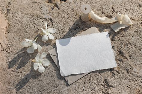 빈 인사말 카드 초대 모형 하얀 올레 안데르 꽃 그런 지 사암 콘크리트 백고운드 햇빛에 리본 현대 웨딩 템플릿 문구류 여름 휴가 디자인 플랫 레이 상단 뷰 0명에 대한 스톡