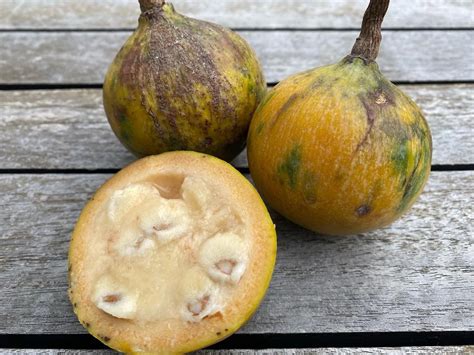 Juan Soco Y Milpesos Las Dos Frutas Que Permitieron Sobrevivir A Los