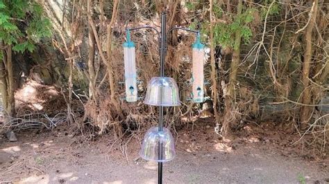 Diy Squirrel Baffle Step By Step Guide Blitsy