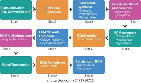 Best Ecm Production Royalty Free Images Stock Photos Pictures Shutterstock