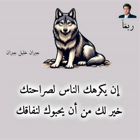 بنات فوندوس سيدي معروف