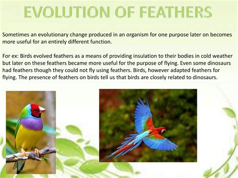 Heridity And Evolution Biology Class 10 Cbse Ppsx