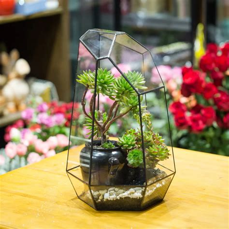 41cm Big Irregular Tabletop Succulent Plants Glass Geometric Terrarium