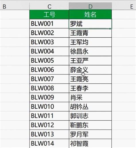 Excel排列技巧教程：如何随机打乱数据顺序