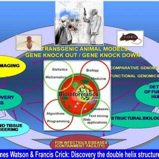 Data Interpretation Using Advance Subject Of Bioinformatics And Download Scientific Diagram
