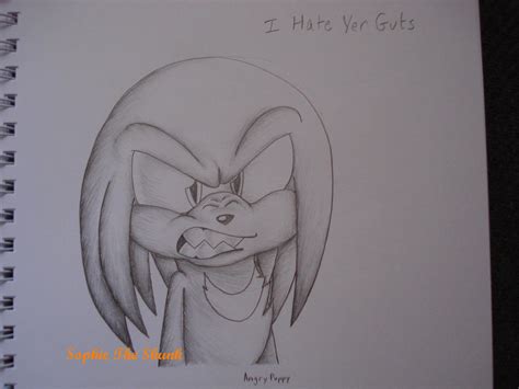 Knuckles Hates Yer Guts By Sophie The Skunk On Deviantart