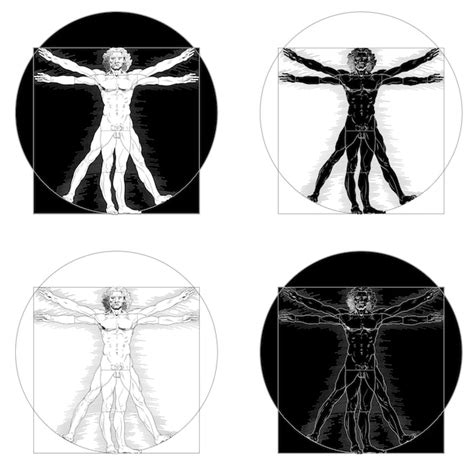 Premium Vector Vitruvian Man In Black And White