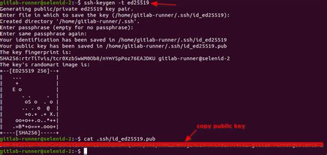 github dark tulip useful bash commands