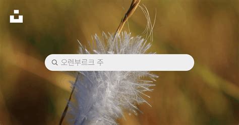 오렌부르크 주 사진 Unsplash에서 무료 이미지 다운로드