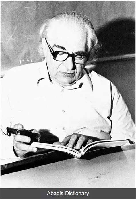 ماریو شنبرگ معنی در دیکشنری آبادیس