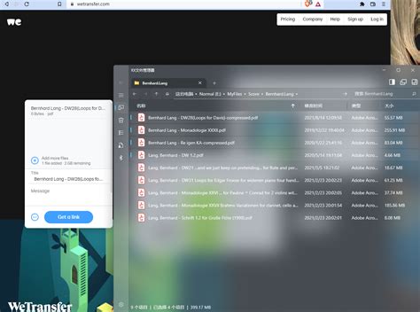 从rx中选中文件拖入外部程序出错 Bug · Issue 424 · Zhuxb711rx Explorer · Github