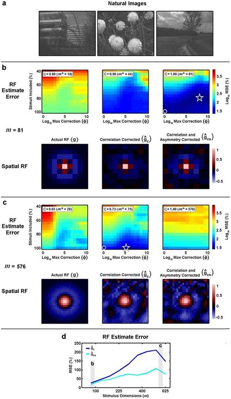 Spatial Rf Estimates From Simulated Responses To Natural Stimuli A Download Scientific