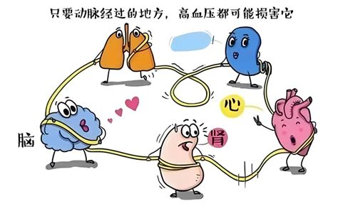 世界肾脏日不可忽视的高血压 澎湃号湃客 澎湃新闻 The Paper