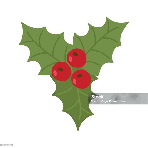 녹색 잎이있는 가지에 붉은 겨울 크리스마스 열매의 홀리 꽃다발 벡터 클립 아트 흰색 배경에 고립 된 그림 휴일 카드 배너 디자인