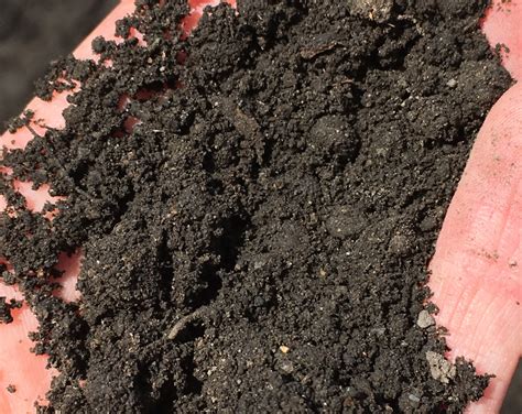 R And D Nord Asphalte