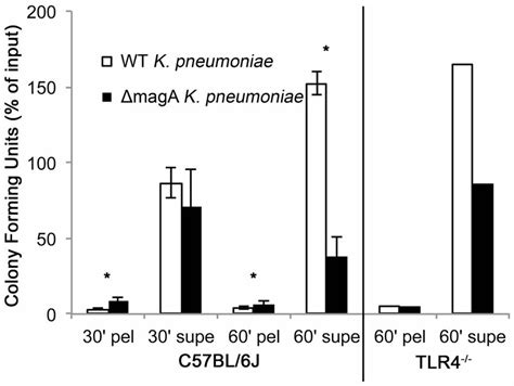 Killing Of K Pneumoniae By Neutrophils Download Scientific Diagram