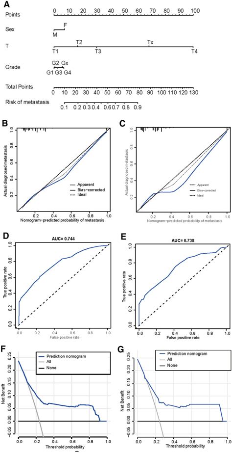 Predicting Metastasis At Initial Diagnosis And Radiotherapy
