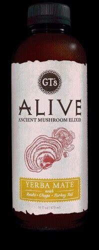 Gts Living Foods Alive Ancient Mushroom Elixir 16 Oz Kroger