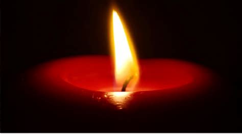 Znany Golfista Sean Fredrickson Nie żyje Zginął W Katastrofie Lotniczej Towarzyszyła Mu Trójka