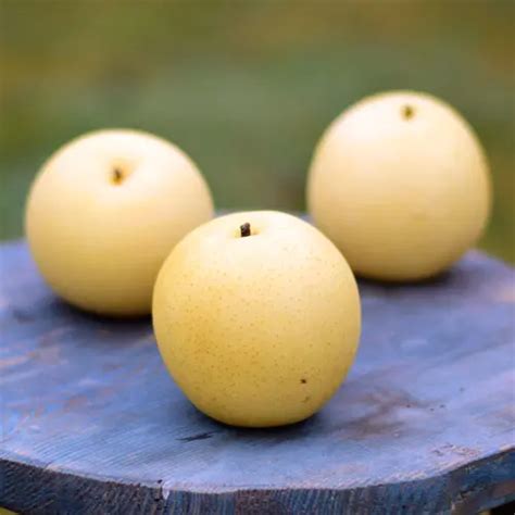 Obst Mit N Am Anfang 10 Gesunde Obstsorten Liste