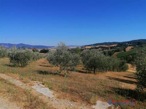 Terreno Agricolo Rosignano Marittimo Rif Immobiliare It