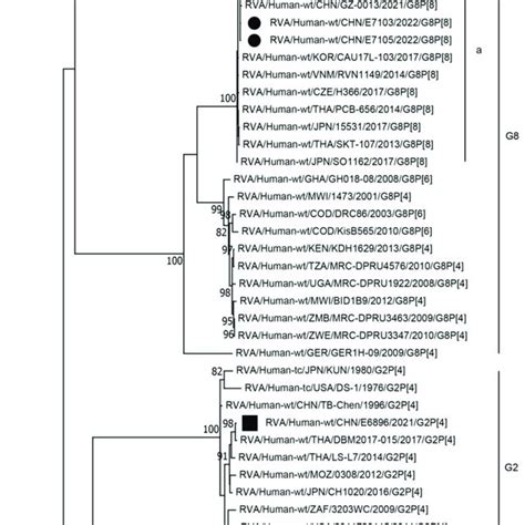 Phylogenetic Dendrogram Based On Complete Coding Regions Of The Vp7
