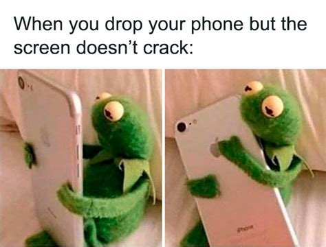 30 Funny Kermit The Frog Memes That Might Make Your Day