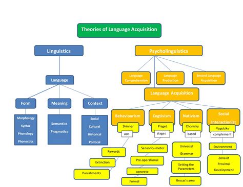 Mind Map Of Theories Language Acquisition Docx