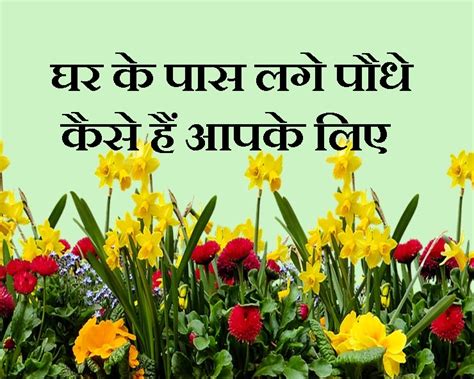 आपके घर के आसपास कौन से पेड़ पौधे हैं मिलेंगे यह शुभ अशुभ फल Vastu