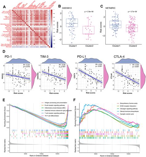 Tumor Microenvironment Characterization In Triple Negative Breast Cancer Identifies Prognostic