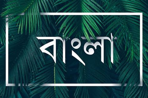 বাংলা ভাষা ডট কম