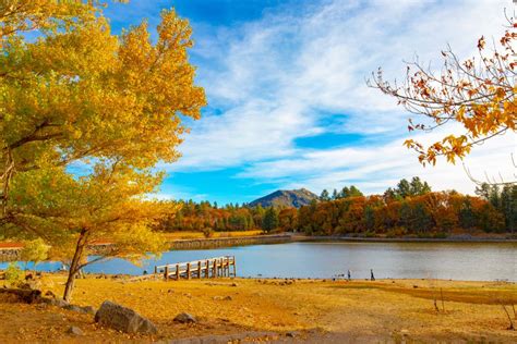 Where To See Californias Fall Foliage In Every Region