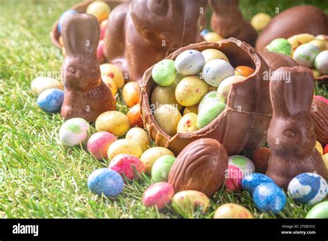 Easter Egg Hunting Background Various Candy And Chocolate Easter Eggs Bunny And Rabbits With