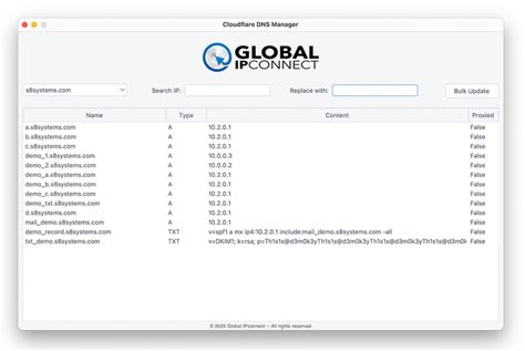 Dns Manager Global Ipconnect