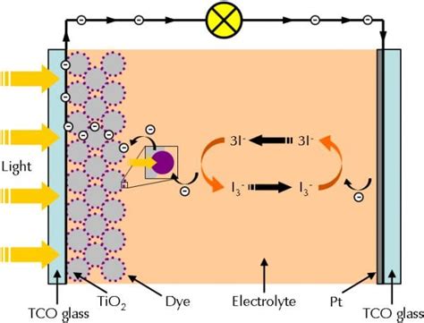 Environmentally Friendly Solar Cells Inspired By Photosynthesis