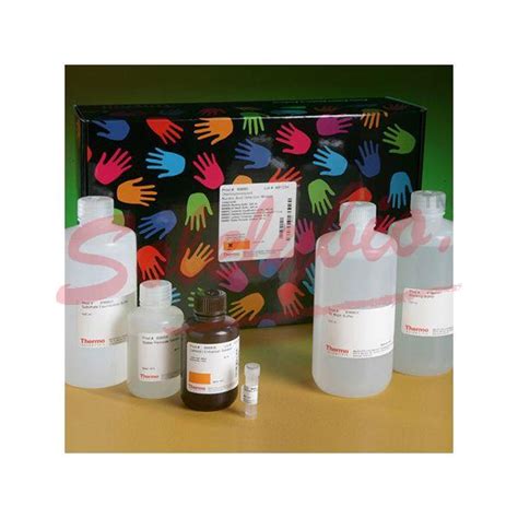 Thermo88 8824 00 Ebioscience™ Intracellular Fixation