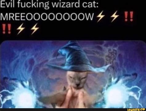 Video Memes 1tnbqxeca By Electivire 1 Comment Ifunny