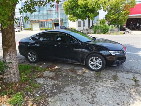 還沒斷奶就又發情，只能開車去給貓做絕育 壹讀