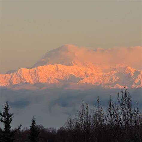 Denali Webcam Talkeetna Alaska Sheldon Air Service