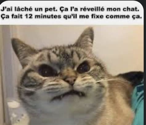 Chat Meme By Quiche18 Memedroid