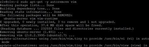 Hướng Dẫn Cài đặt Vim Trên Ubuntu 22 04 Hotline 0972710812