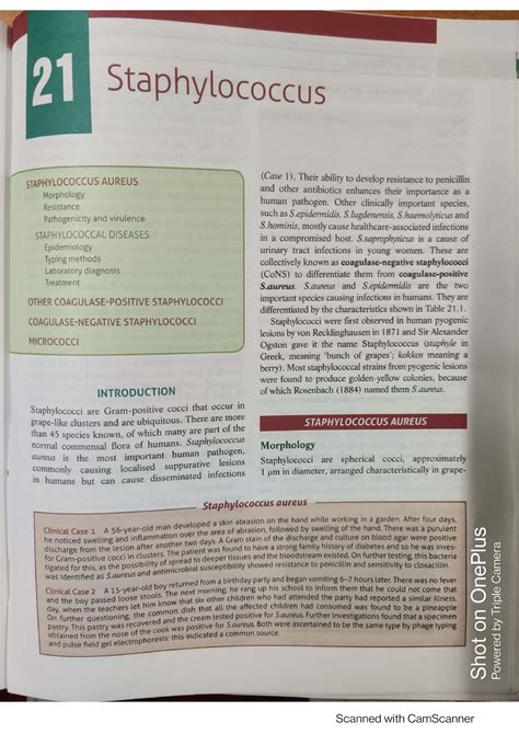 Staphylococcus 1 Morphology Cultural Characters Biochemical